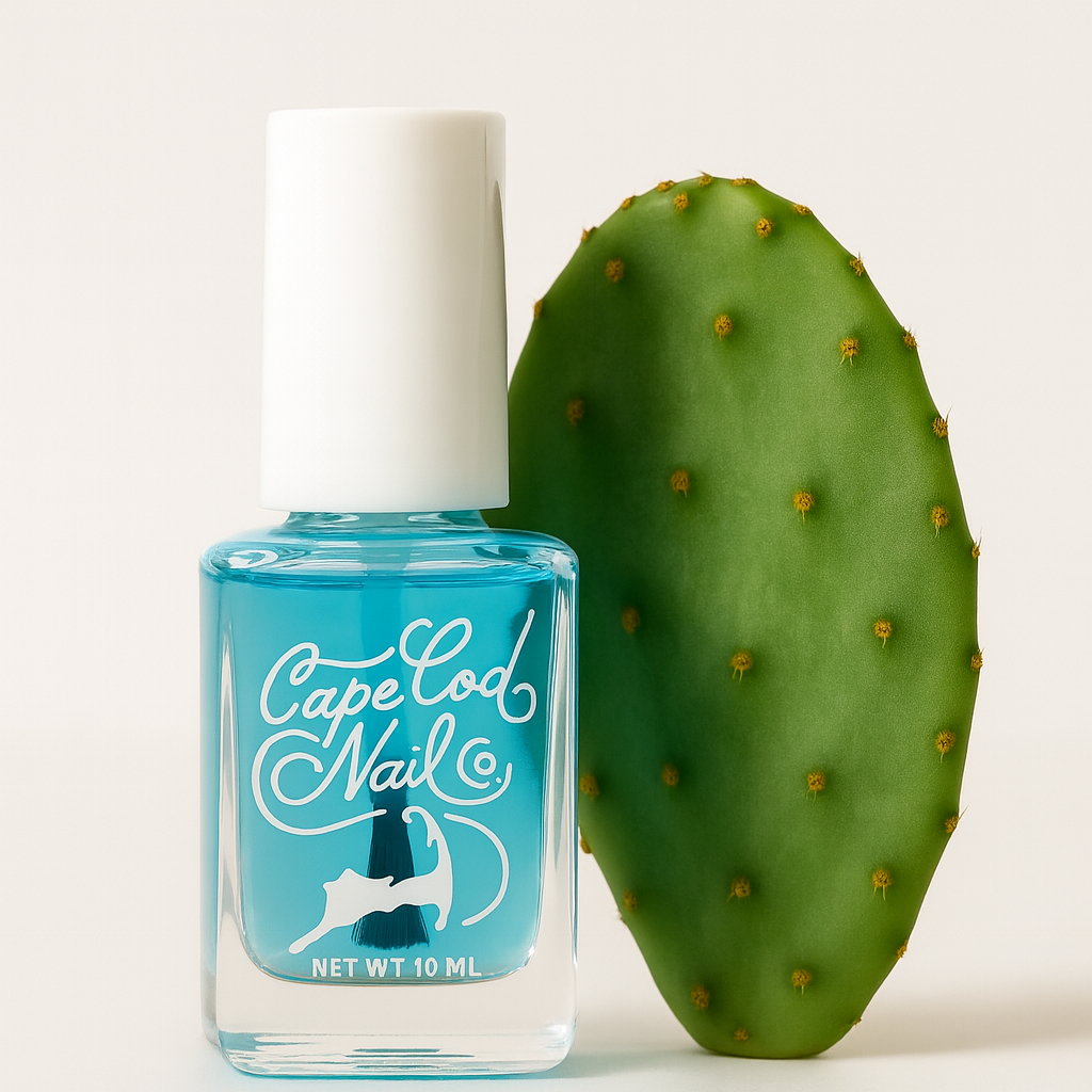 Hydrating Base Coat with Prickly Pear | Cape Cod Nail Co.