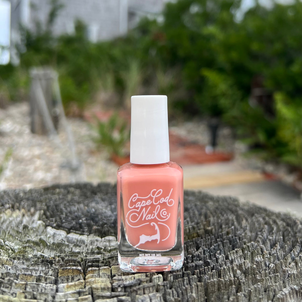 Shrimply Irresistible! | Cape Cod Nail Co.