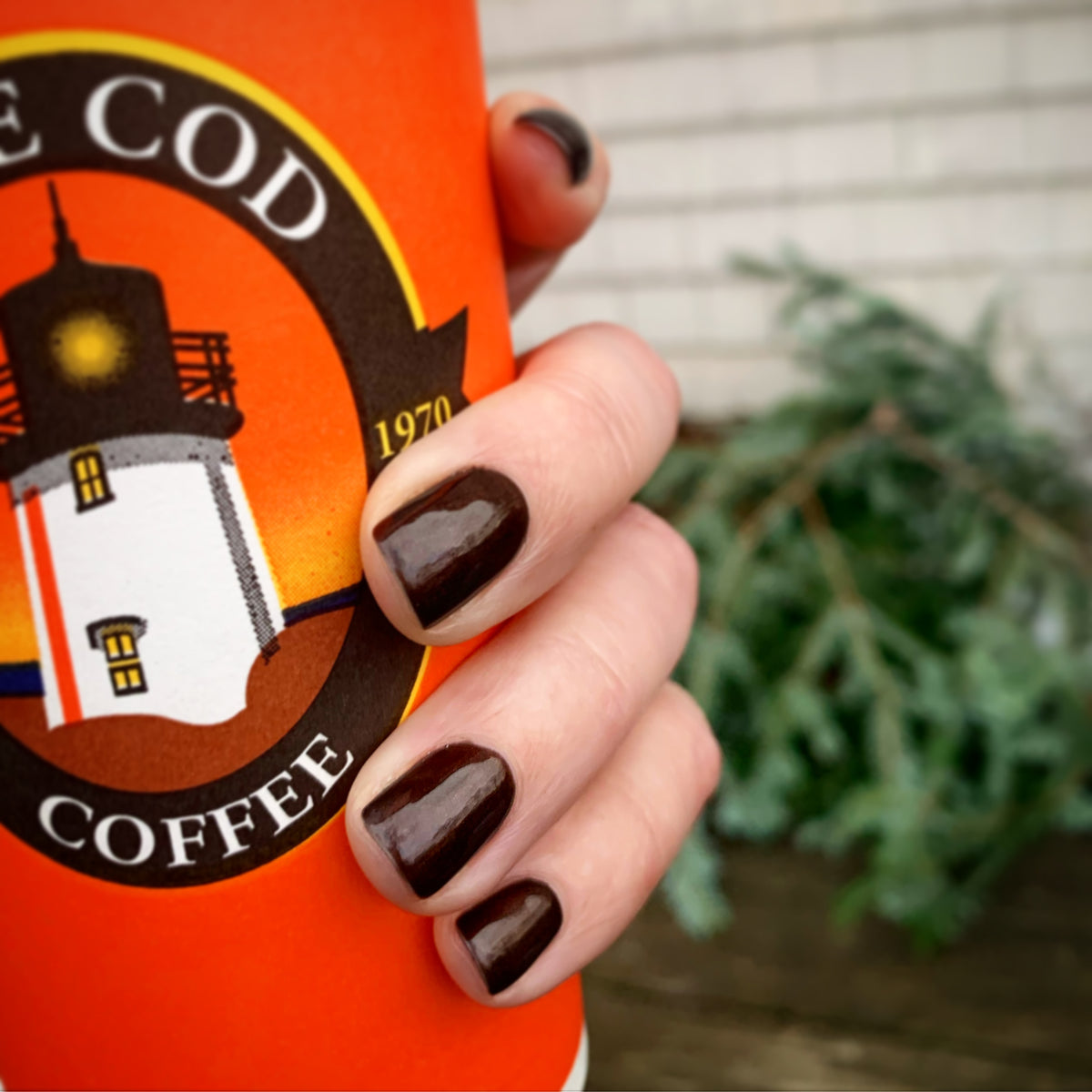 Raisin The Sails | Cape Cod Nail Co.
